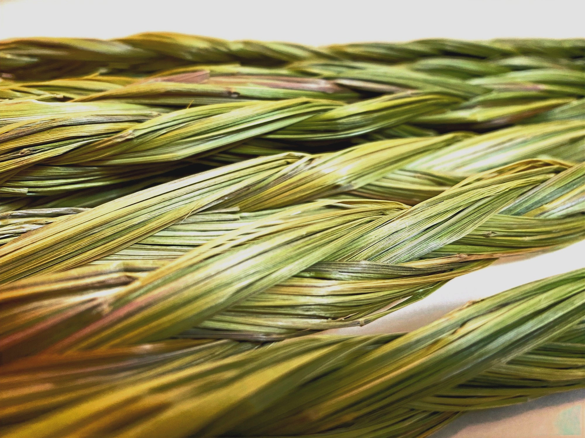 Meadowlark Apothecary - Sweetgrass & Natural Products